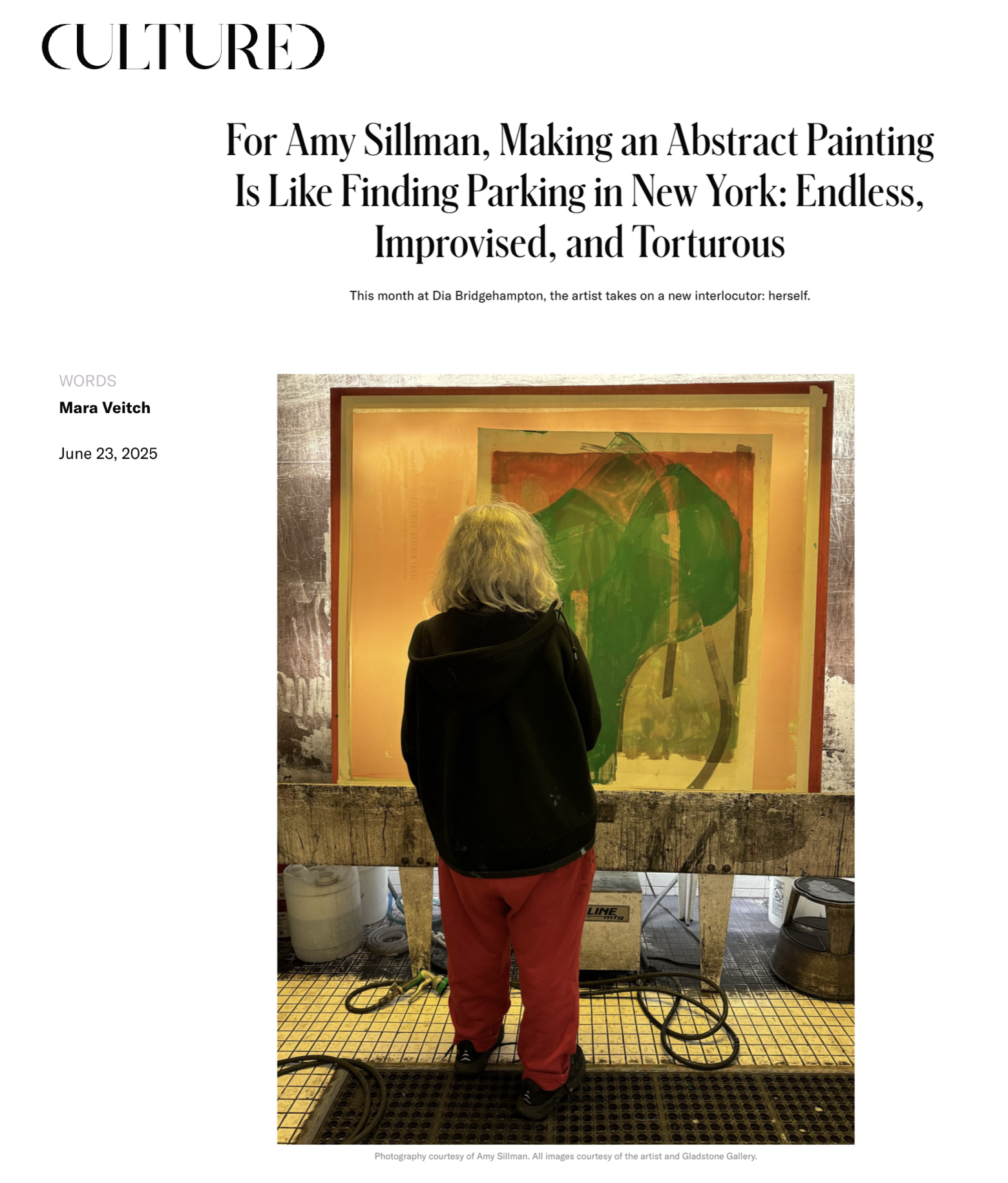 News | Amy Sillman